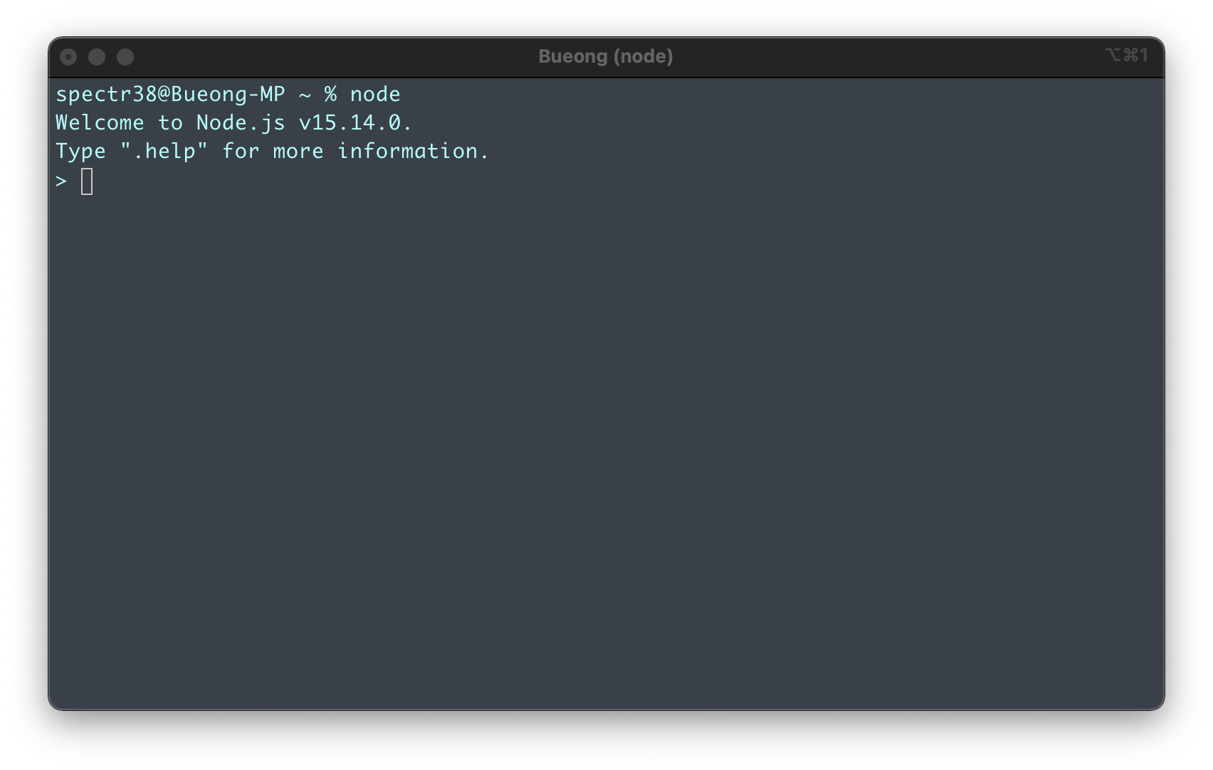 [node Js] Repl 이란